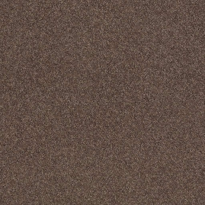 Shaw Caress By Shaw Quiet Comfort Classic II 00725 Spring Wood Carpet ...