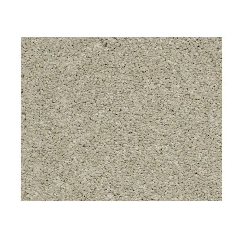 Shaw Castle PV II 00321 Spruce Textured Nylon Carpet | Lowest Price ...