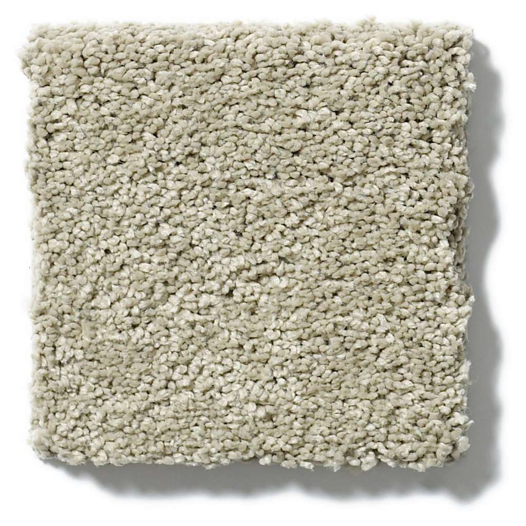 Shaw Caress By Shaw Quiet Comfort Classic II 00321 Spruce Nylon Carpet ...