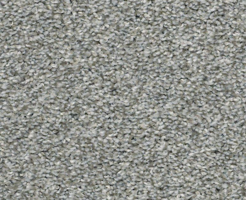 Shaw Marina II 00542 Stainless Textured Polyester Carpet — Stone & Tile ...