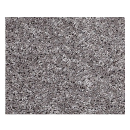 Shaw Silver Strand 00500 Sterling Textured Nylon Carpet | Lowest Price ...