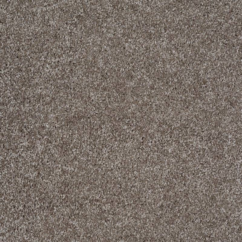 Shaw Adam's Choice (S) 00751 Stone Textured Nylon Carpet — Stone & Tile ...