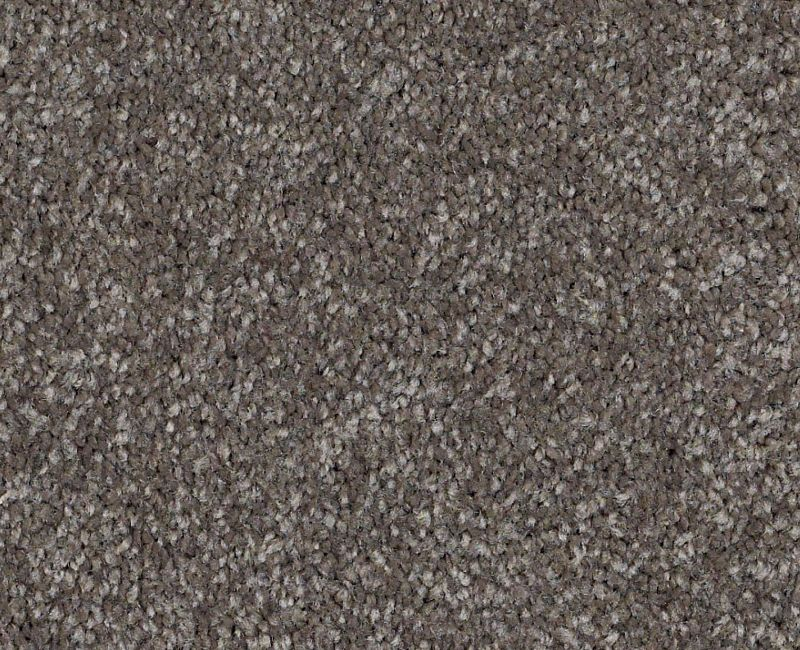 Shaw Anso Open II (S) 00703 Stone Hearth Textured Nylon Carpet — Stone ...