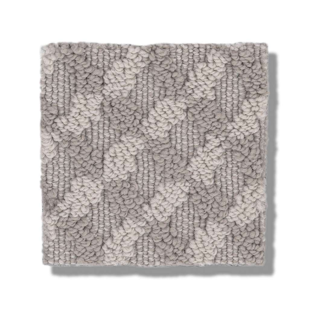 Shaw Caress By Shaw Inspired Design 00724 Stucco Pattern Nylon Carpet — Stone & Tile Shoppe, Inc.