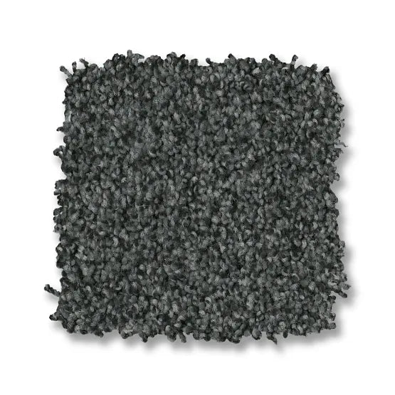 Anderson Tuftex Classics Terra Nova 00457 Submarine Nylon Carpet ...