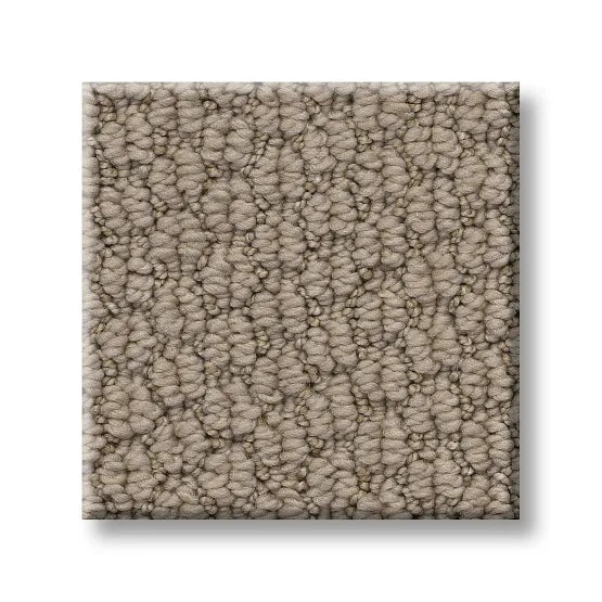 Anderson Tuftex Classics Cathedral Hill II 00573 Subtle Nylon Carpet ...