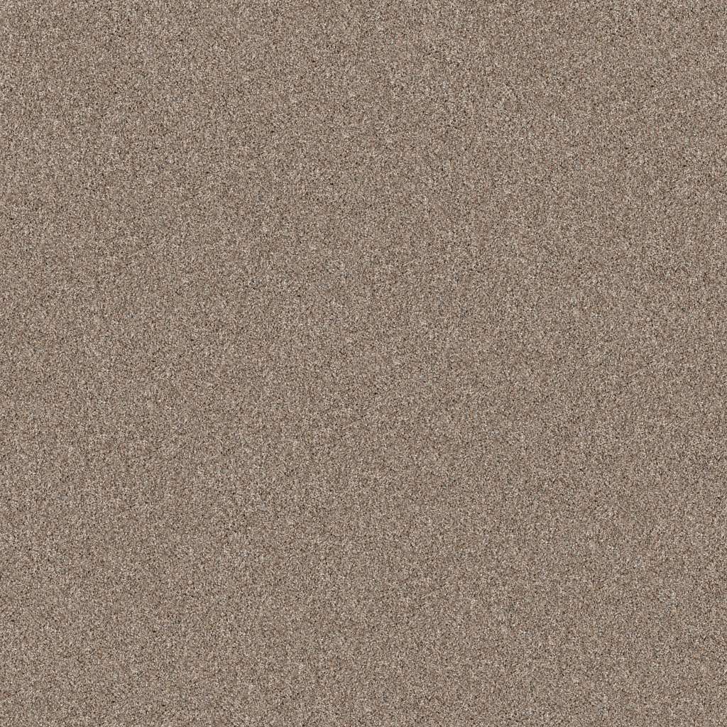 Shaw Pet Perfect Yes You Can III 15' 00114 Subtle Clay Carpet — Stone ...