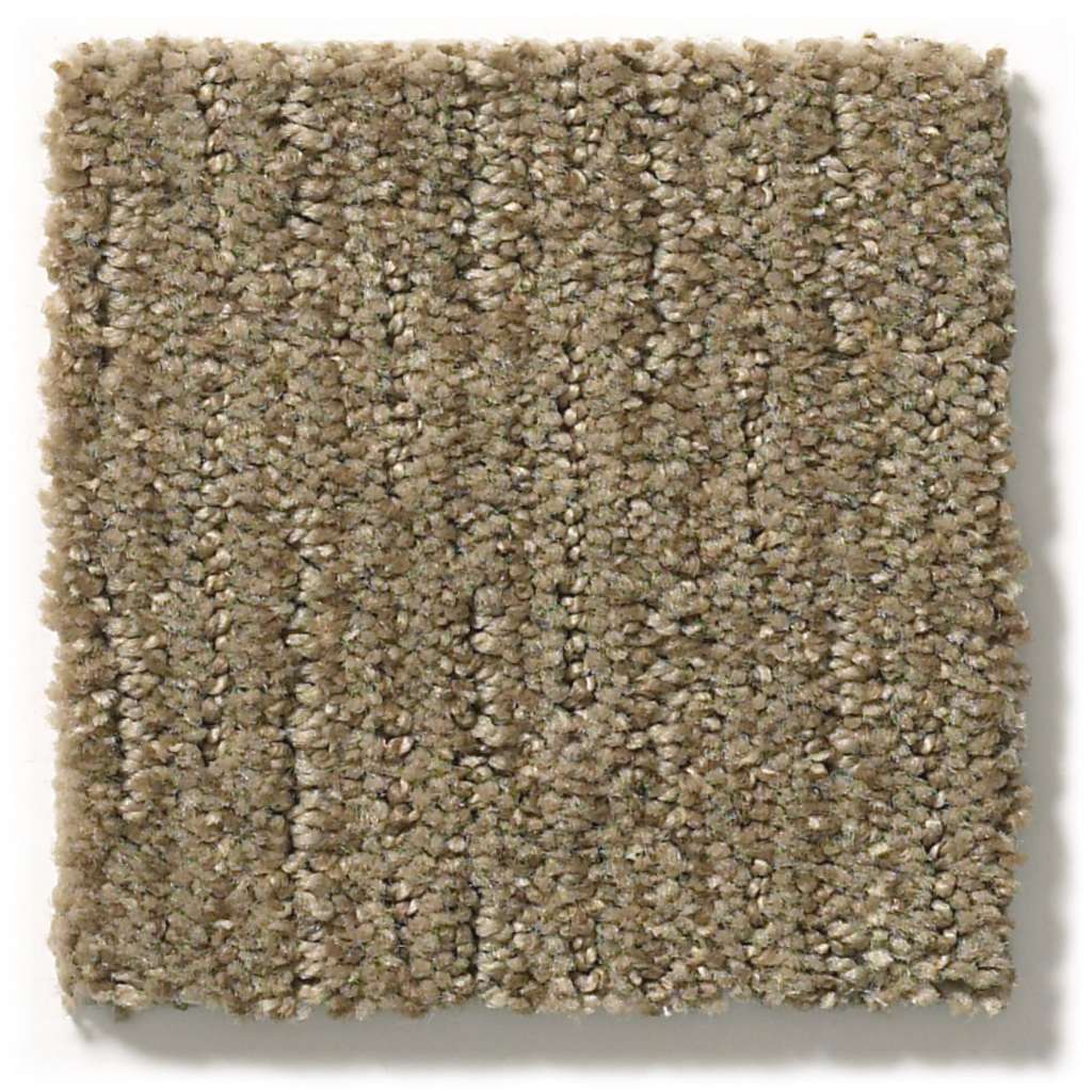 Shaw Foundations Insightful Way 00776 Summerville Pattern Nylon Carpet ...