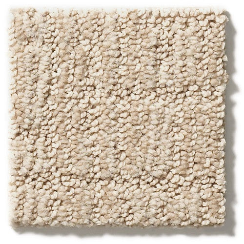 Anderson Tuftex Roamer 00222 Sunlight Pattern Nylon Carpet — Stone ...