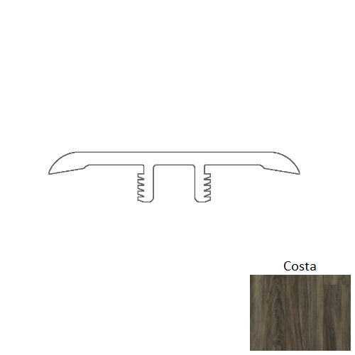 Shaw 00150 Costa Prefinished T Molding With Molding Track — Stone ...