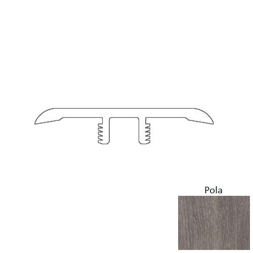 Shaw Valore Plus 00590 Pola ArmourBead T Molding With Molding Track ...