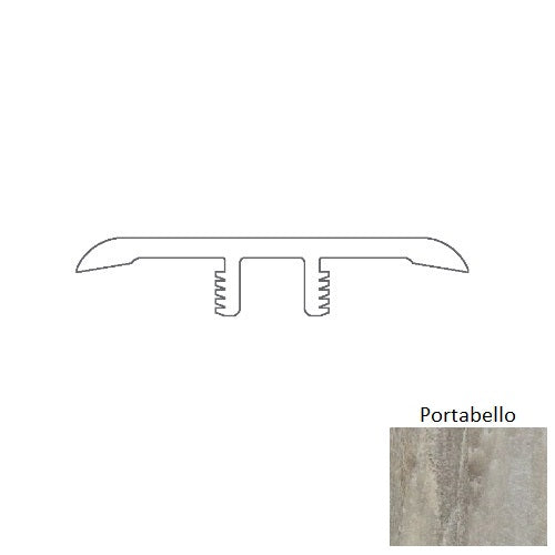 Shaw Easy Style 00757 Portabello T Molding With Molding Track — Stone ...