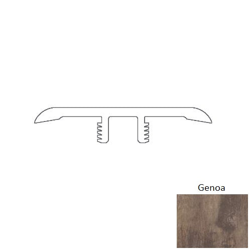 Shaw 00773 Genoa ArmourBead T Molding With Molding Track — Stone & Tile ...