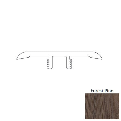 Shaw 00812 Forest Pine ScufResist T Molding With Molding Track — Stone ...