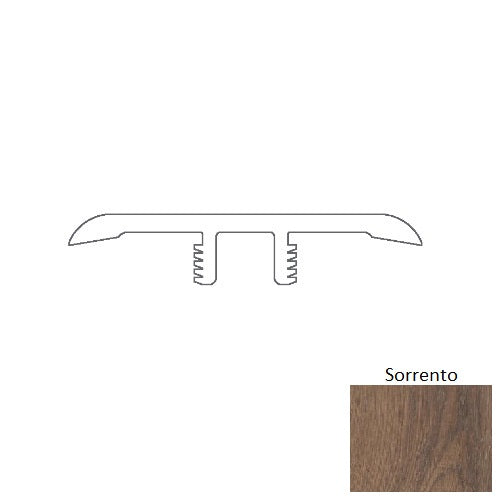 Shaw Pantheon Hd Plus 00813 Sorrento T Molding With Molding Track ...