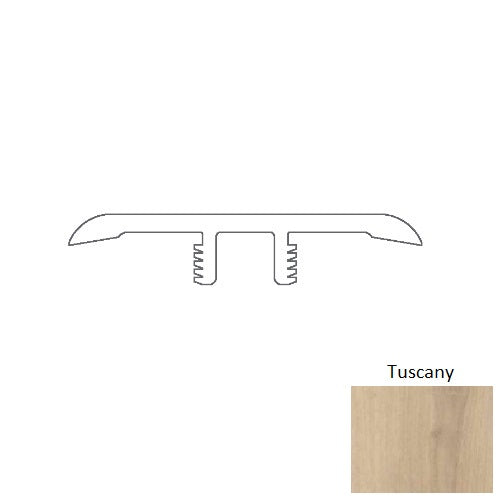 Shaw Tivoli Plus 01004 Tuscany ArmourBead T Molding With Molding Track ...