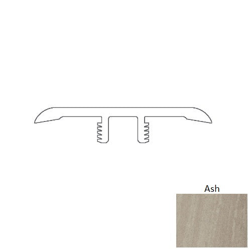 Shaw Paragon Tile Plus 01008 Ash T Molding With Molding Track — Stone ...