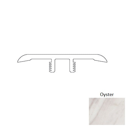 Shaw Paragon Tile Plus 01010 Oyster T Molding With Molding Track ...