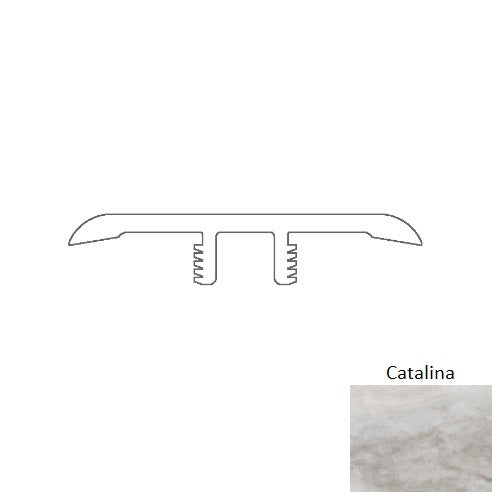 Shaw Paragon Tile Plus 01109 Catalina T Molding With Molding Track ...