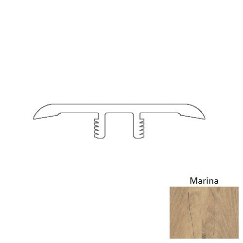 Shaw 02014 Marina ArmourBead T Molding With Molding Track — Stone ...