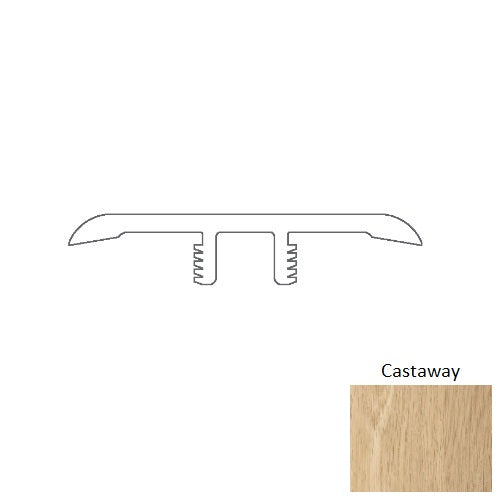 Shaw 07087 Castaway ArmourBead T Molding With Molding Track — Stone ...