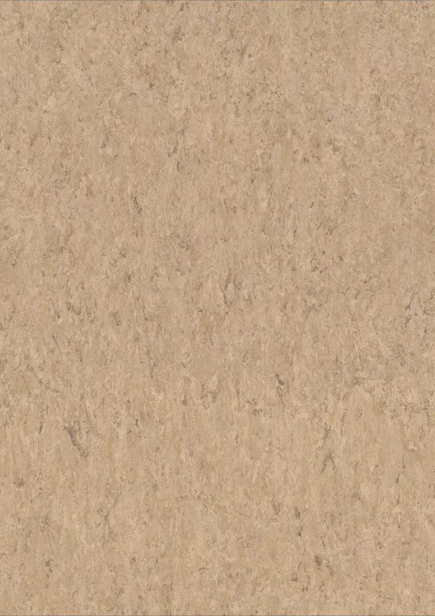 Tarkett LinoFloor xf2 Elle 711 Ecru Matte Sheet Linoleum | Lowest Price ...