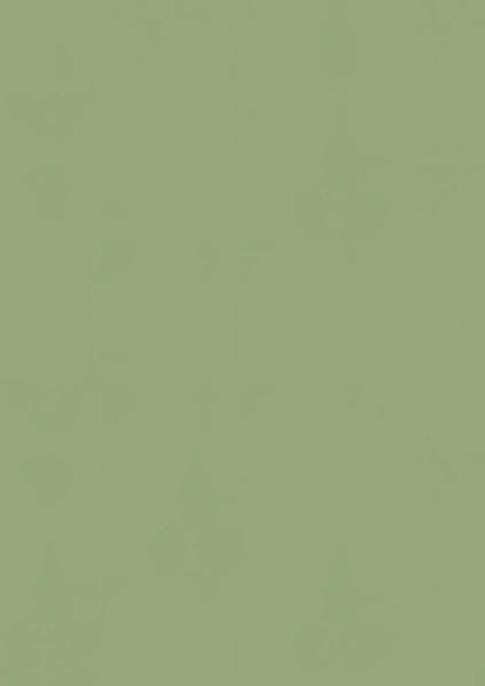 Tarkett LinoFloor xf2 Elle 055 Olive Matte Sheet Linoleum | Lowest ...