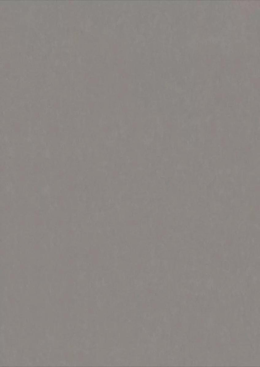 Tarkett LinoFloor xf2 Elle 202 Cemento Matte Sheet Linoleum | Lowest ...