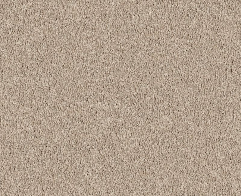 Shaw Nantucket Summer 12' 55105 Taupe Textured Polyester Carpet — Stone ...