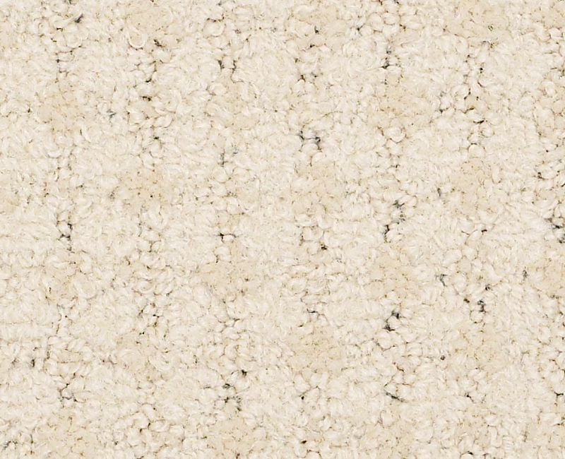 Shaw Hettinger 11102 Taxi Stand Pattern Nylon Carpet | Lowest Price ...