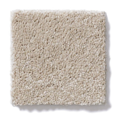 Anderson Tuftex Real Life II 00121 Tea Biscuit Textured Nylon Carpet ...