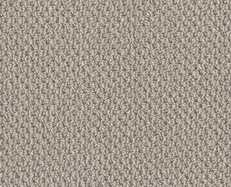Shaw Lasting Loop 00150 Textured Canvas Loop Nylon Carpet — Stone ...