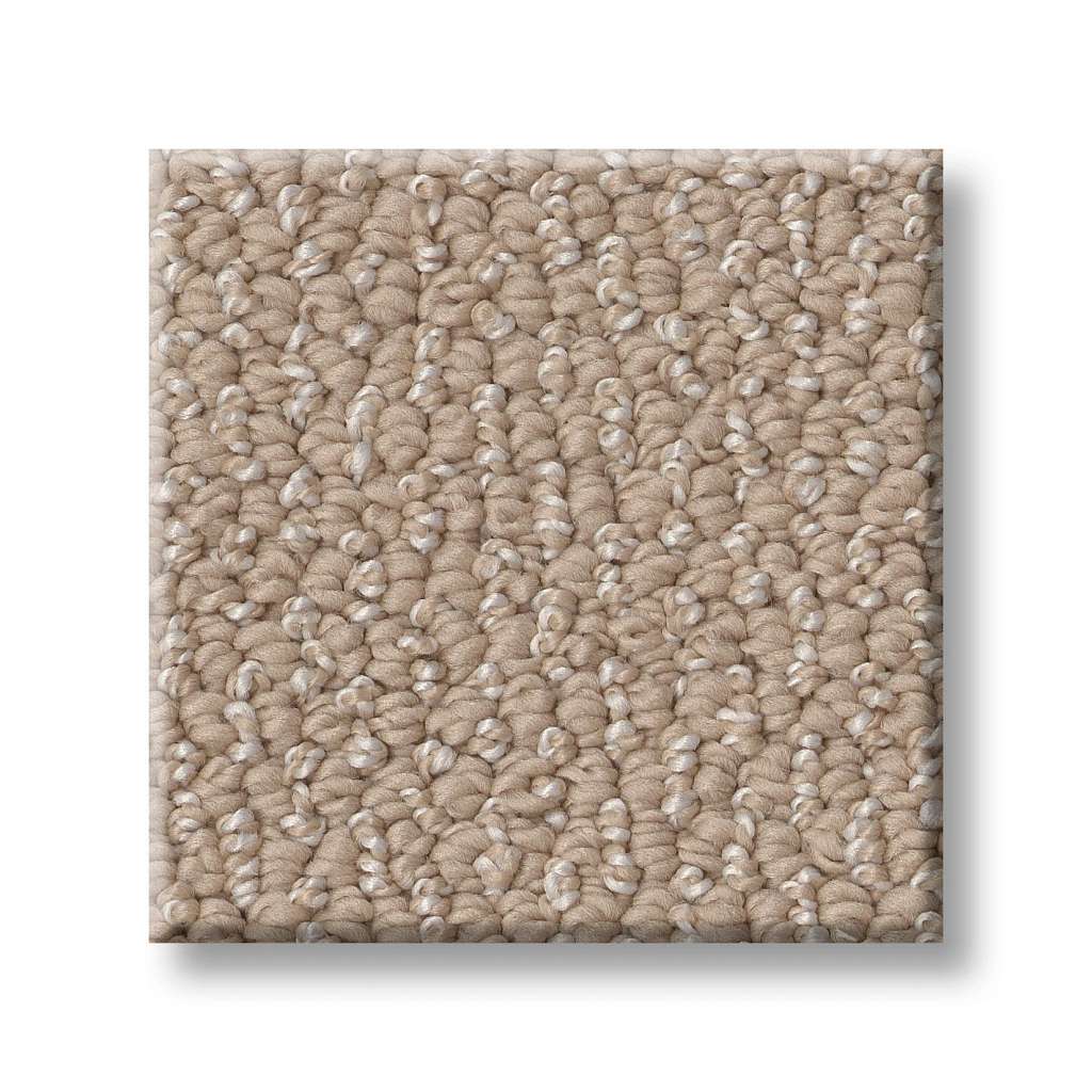 Shaw Simply The Best Embellished 00120 Thatched Roof Polyester Carpet ...
