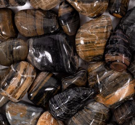 Tiger Stripe Polished Natural Stone Pebble | Lowest Price — Stone ...