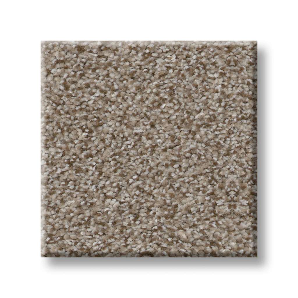 Shaw Simply the Best Values Trusplendor 00704 Timeless Tan Carpet ...