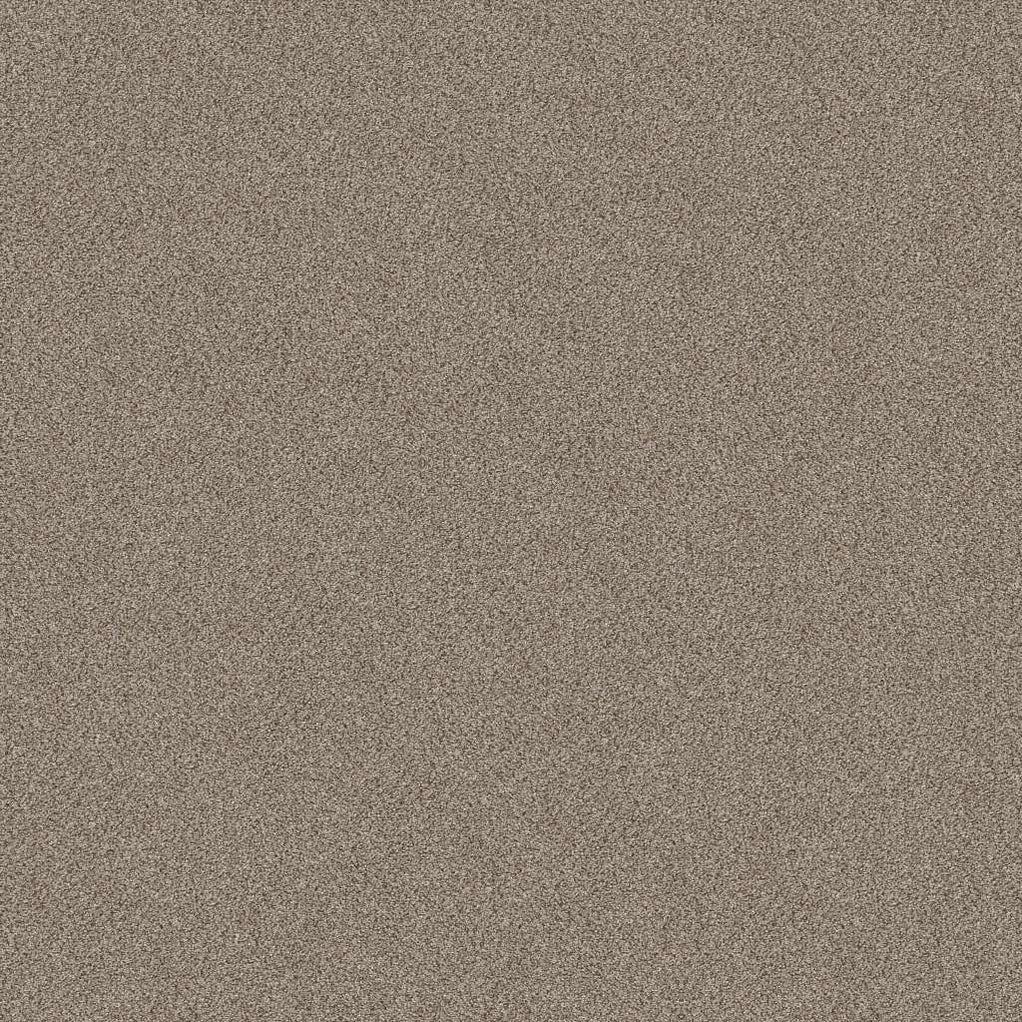 Shaw Simply the Best Values Trusplendor 00704 Timeless Tan Carpet ...