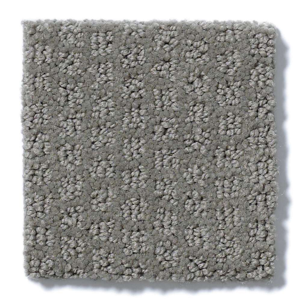 Shaw Simply The Best Pacific Trails 00544 Titanium Nylon Carpet — Stone ...