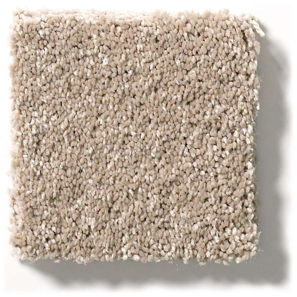 Shaw Pet Perfect Plus Basic Rules 00105 Toast Polyester Carpet — Stone ...