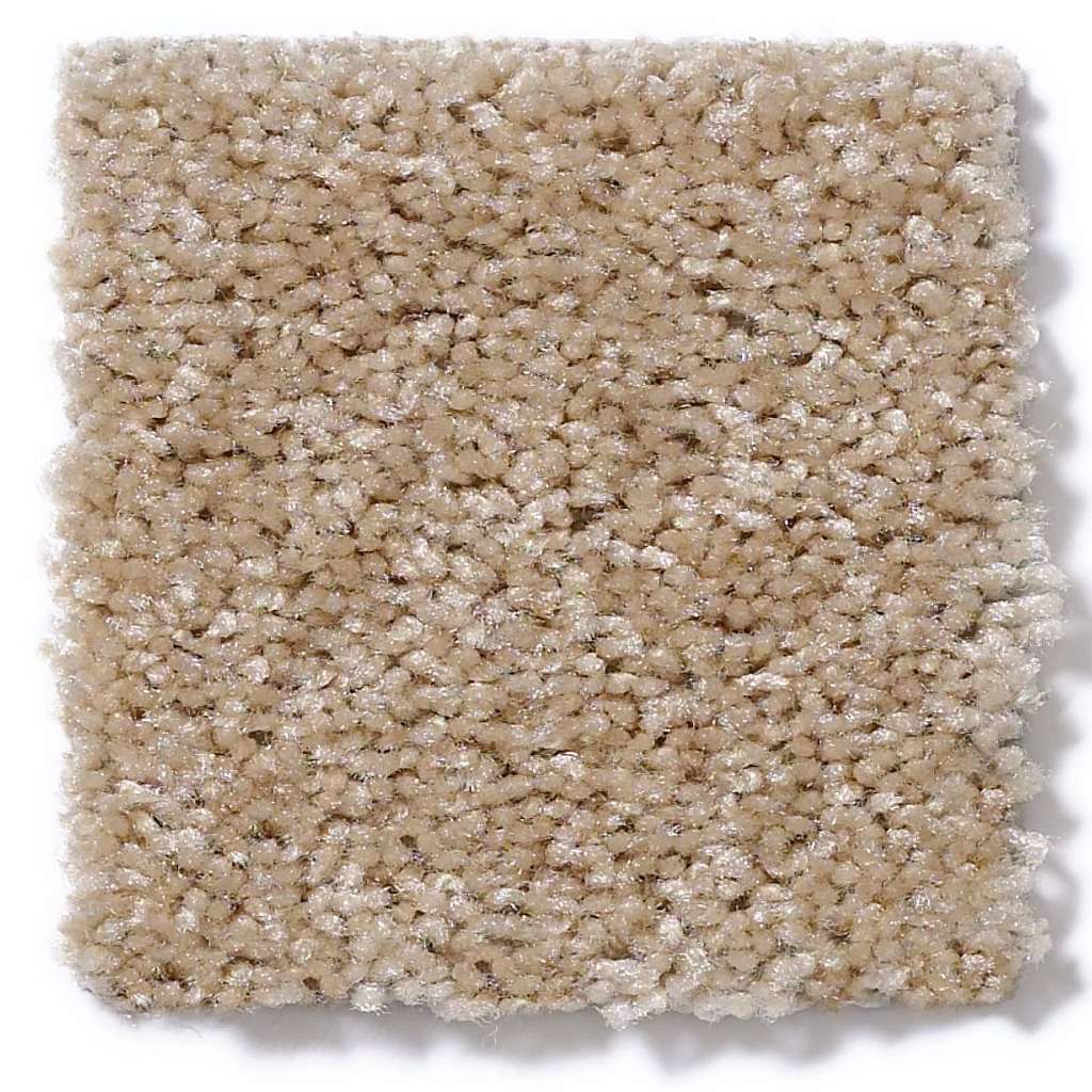 Shaw Victory 00108 Toasted Coconut Textured Nylon Carpet — Stone & Tile ...