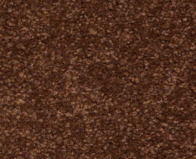 Shaw Bright Spirit II 12' 00707 Tortoise Shell Textured Nylon Carpet ...