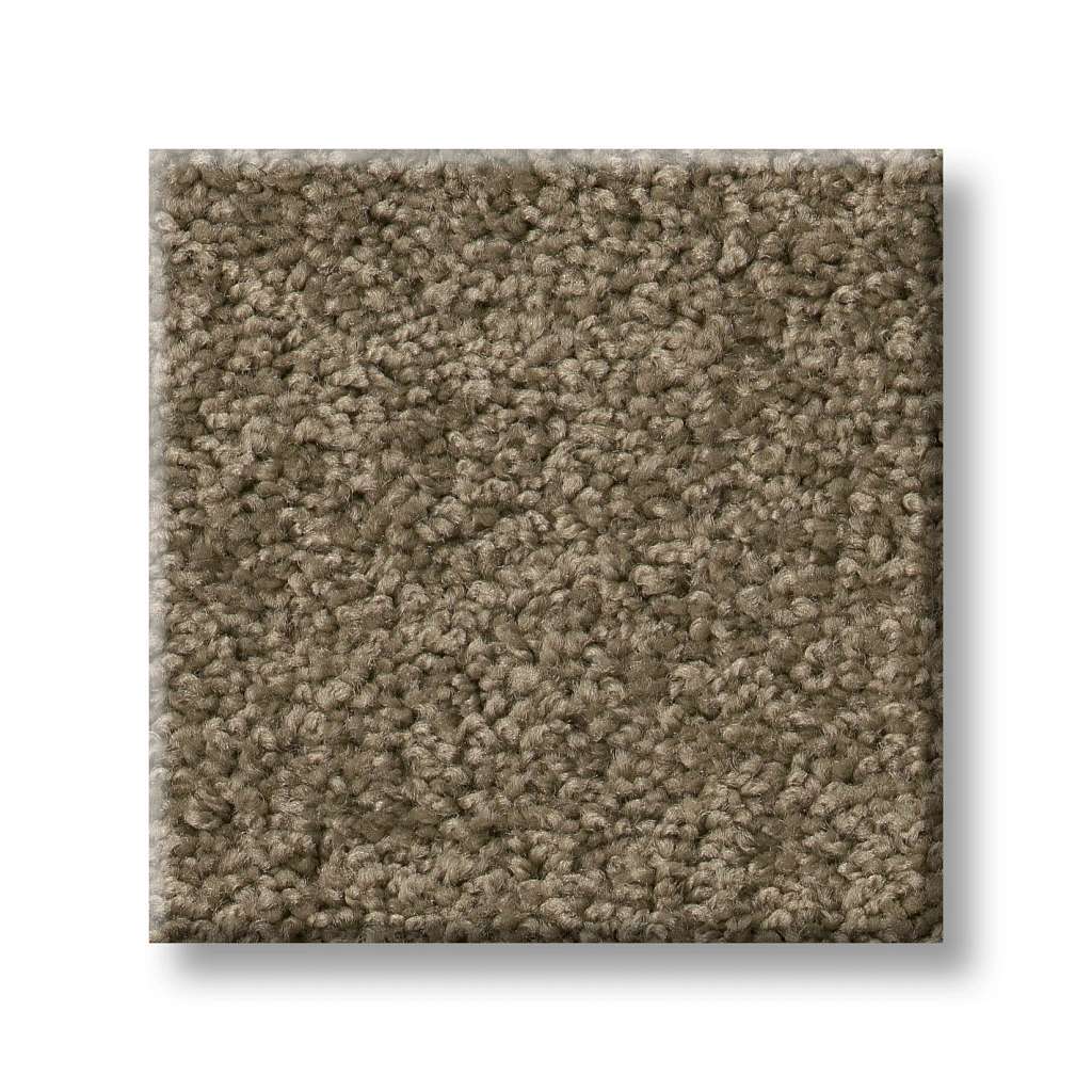 Shaw Origins 00704 Townhouse Textured Nylon Carpet | Lowest Price ...