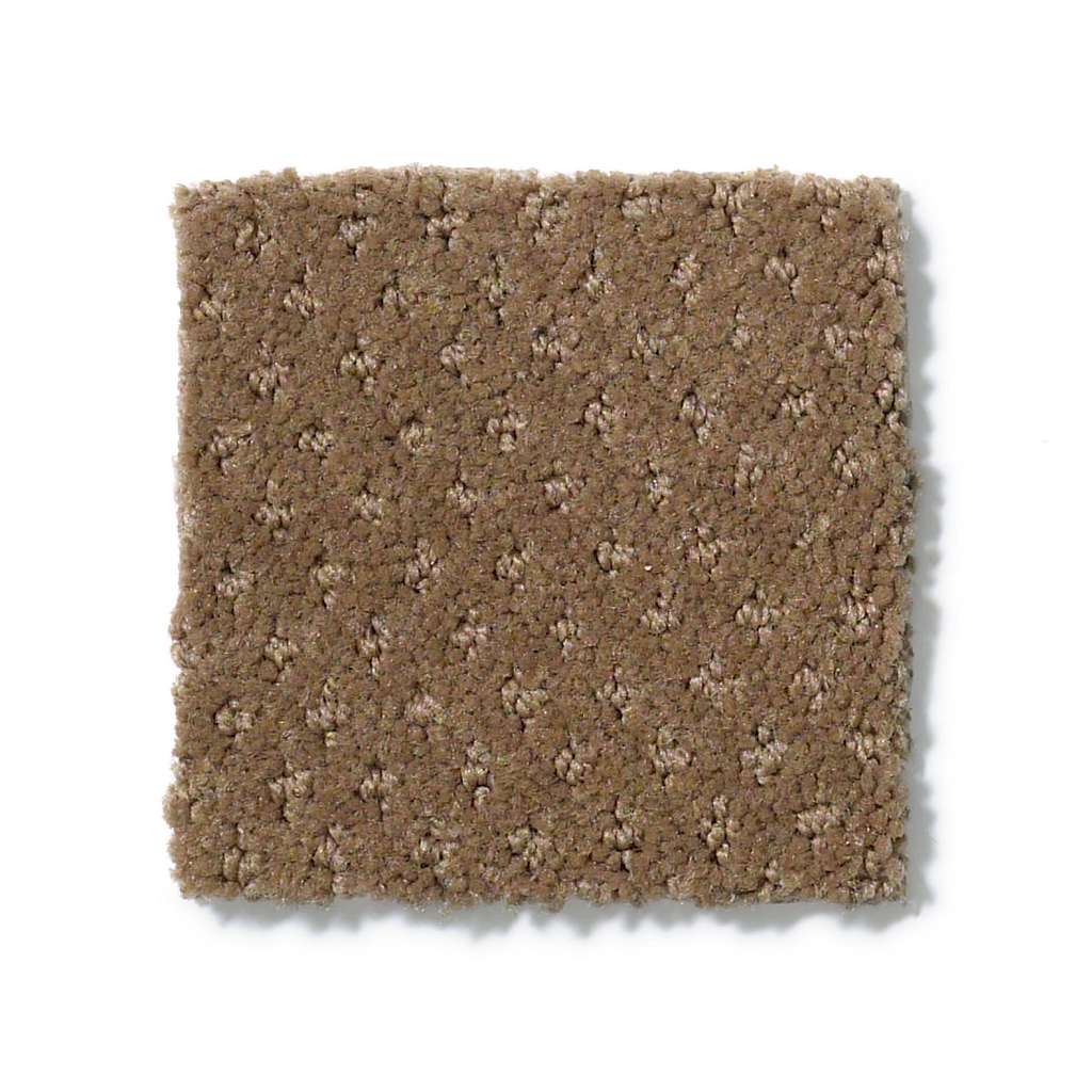 Shaw Genesis 00704 Townhouse Pattern Nylon Carpet | Lowest Price ...