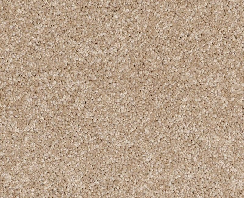 Shaw XV308 00700 Townhouse Taupe Textured Nylon Carpet | Lowest Price ...