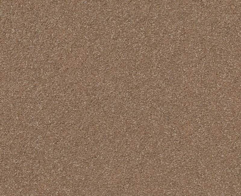 Shaw XV309 00700 Townhouse Taupe Textured Nylon Carpet | Lowest Price ...