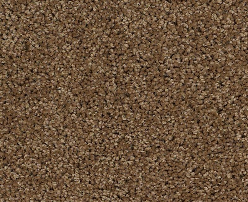 Shaw In A Twinkling 25711 Tree Bark Textured Nylon Carpet — Stone ...