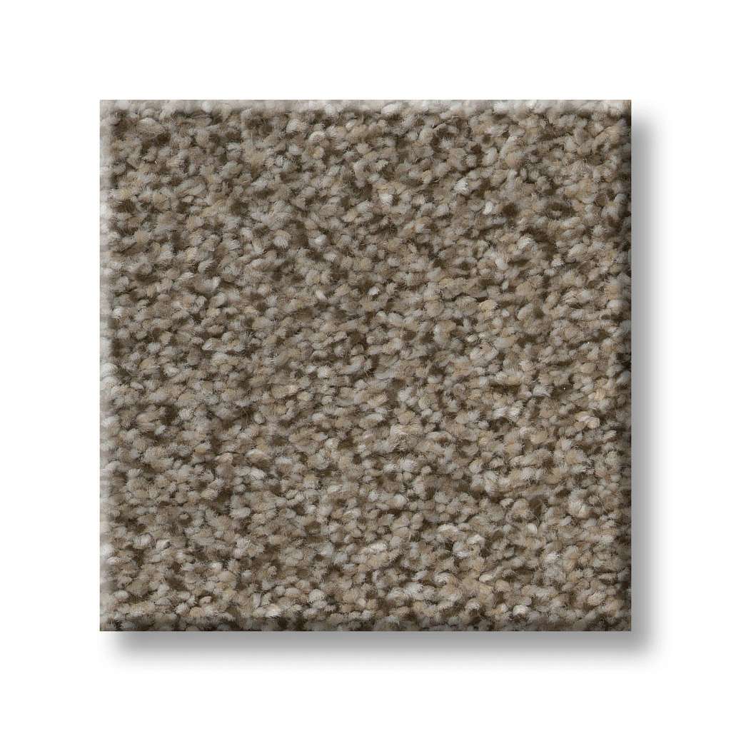 Shaw Simply the Best Values Trusplendor 00701 Truffle Polyester Carpet ...