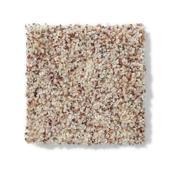 Anderson Tuftex Serendipity I Berber 0121B Tweed Textured Nylon Carpet ...