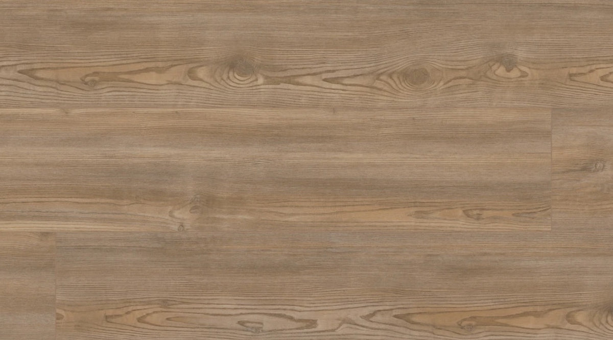 COREtec Plus Premium 9 Inch 02906 Treasure Pine Luxury Vinyl Plank ...