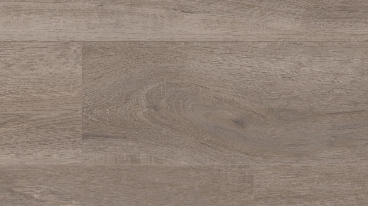 COREtec Plus Premium XL 07012 Grande Marina Oak Luxury Vinyl Plank ...