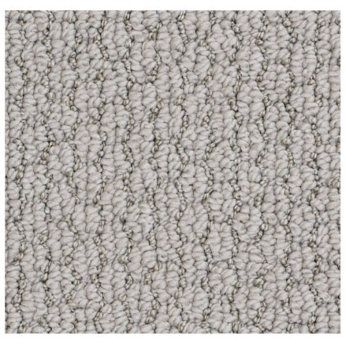 Anderson Tuftex Cathedral Hill 00523 Valley Mist Nylon Carpet — Stone ...
